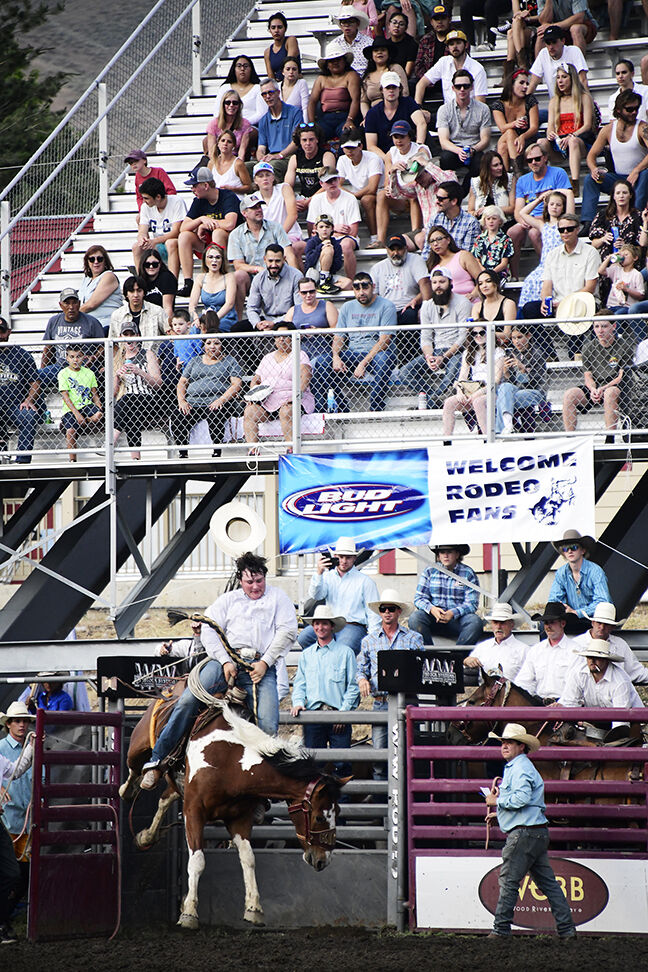 Days of the Old West Rodeo | Gallery | mtexpress.com
