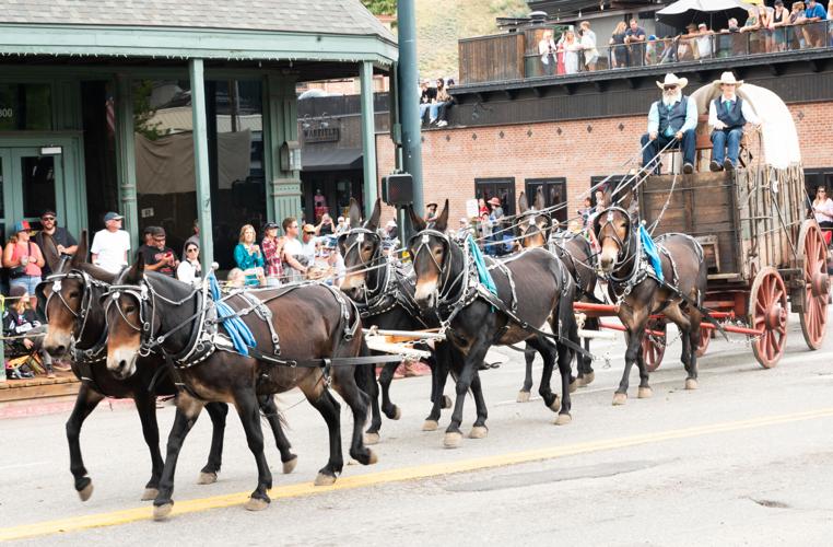 Wagon Days in pictures | Gallery | mtexpress.com