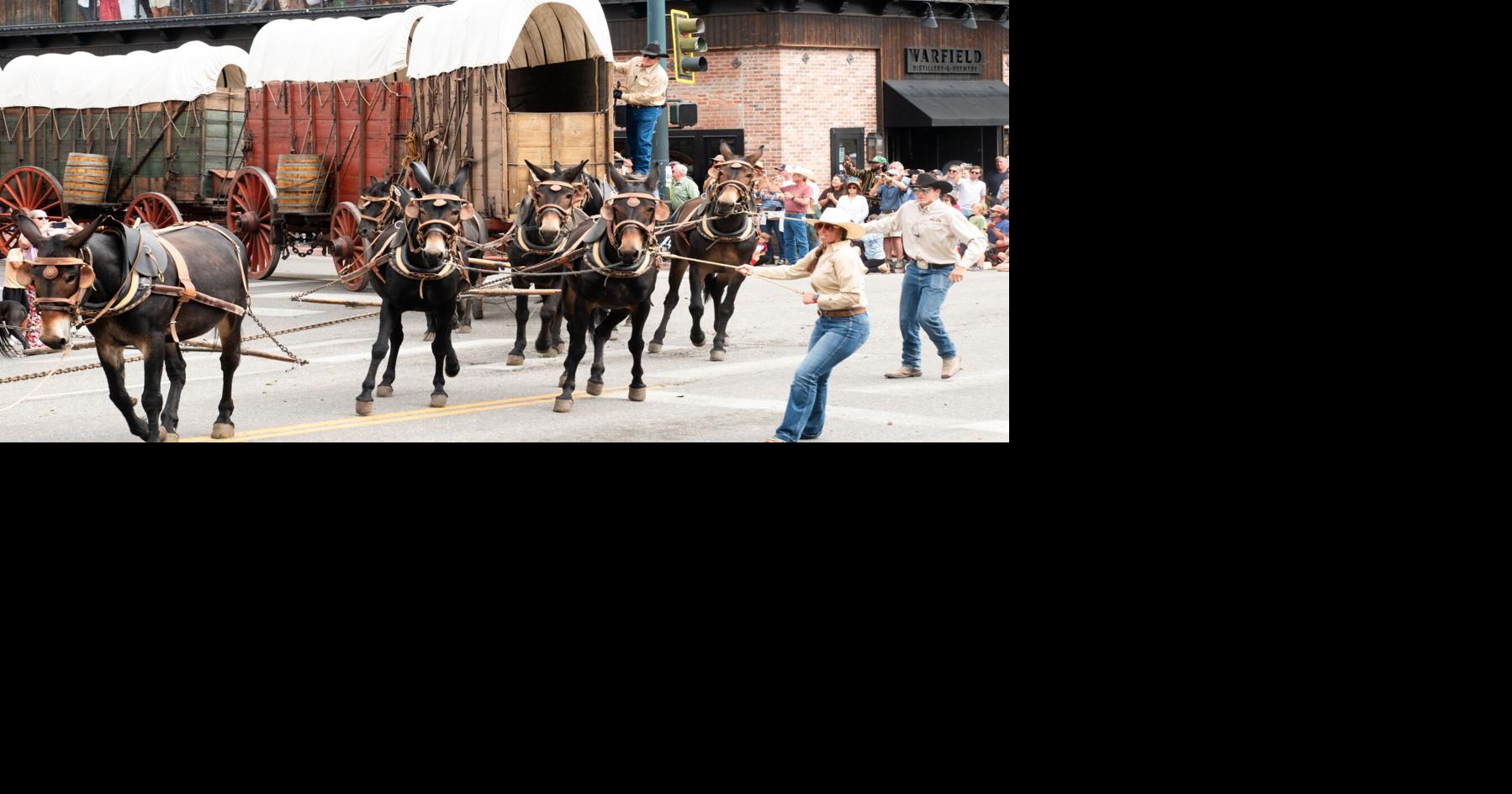 Wagon Days in pictures | Gallery | mtexpress.com