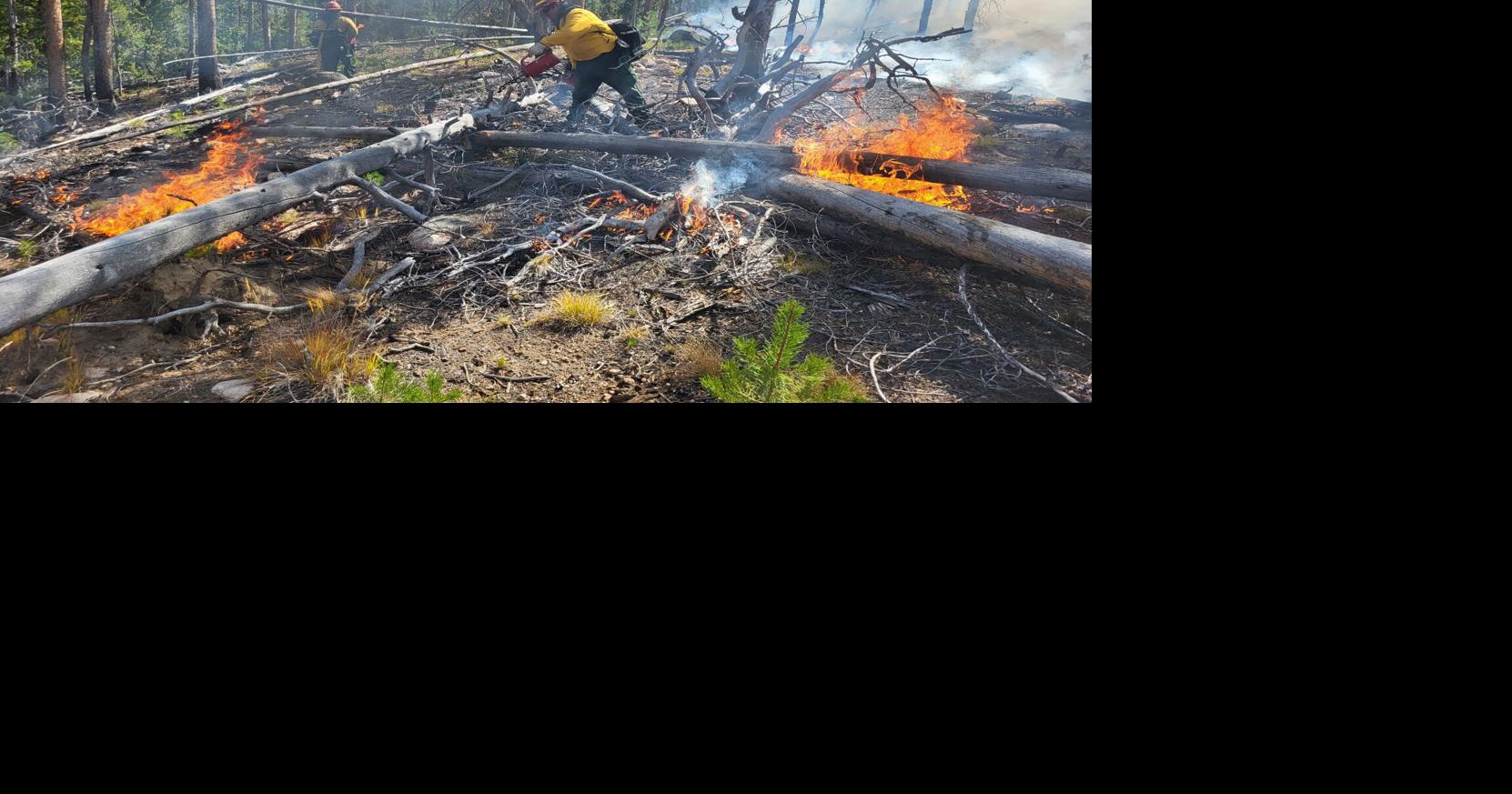 Forest Service crews fight fire with fire in Sawtooth Valley ...