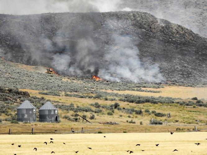 Wildfires, wildlife conflicts made front pages in 2024 | Environment ...