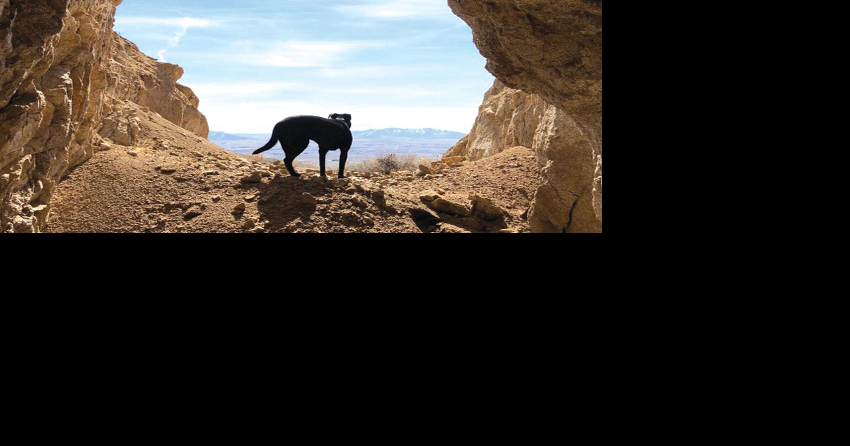 ‘Mine spotter’ focuses on hidden underground history | Community ...