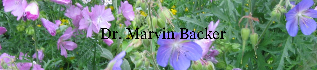 Dr. Backer