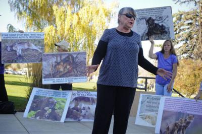 Group demands return of wolf protections