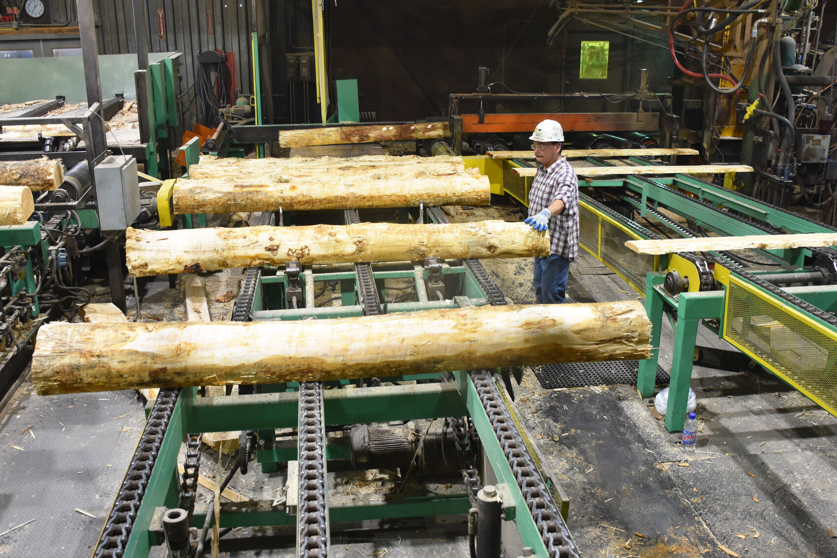 BLM solicits bids for timber sale north of Wise River