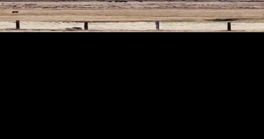 Nez Perce Fire grows to 69 acres east of Elk Park