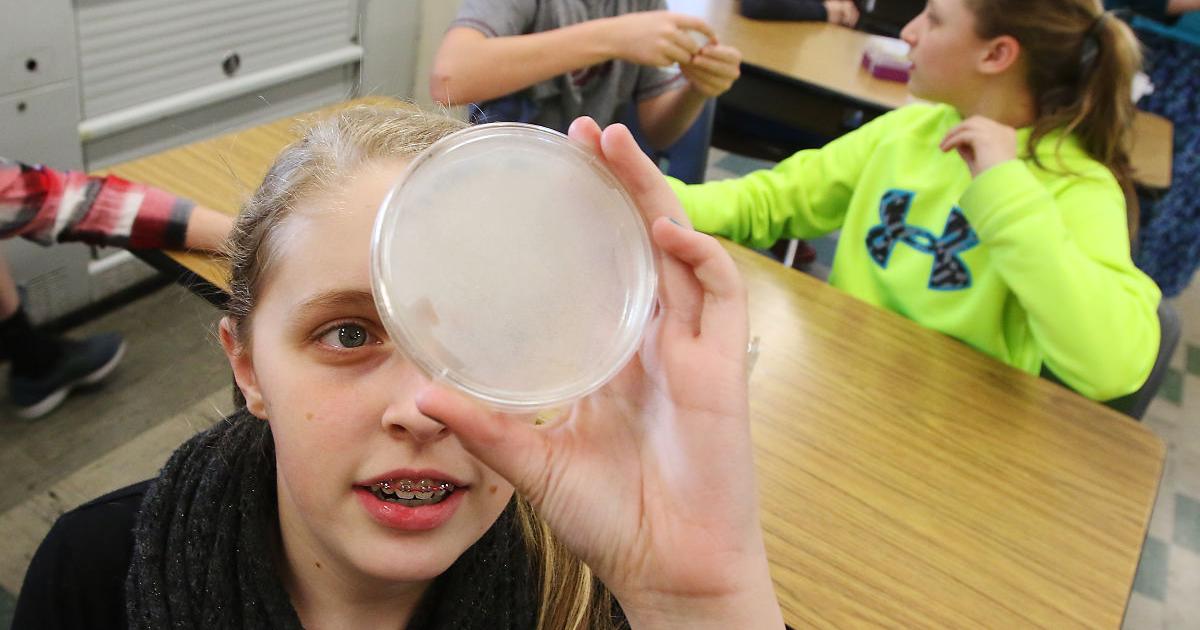 Classroom research project