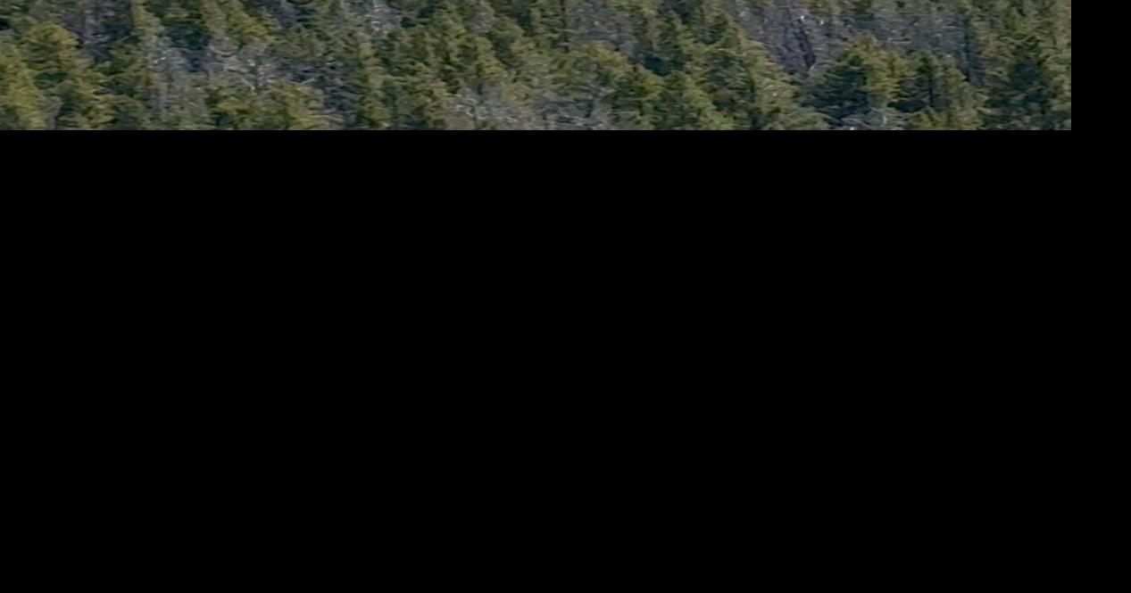 Sawlog Fire located just west of Wise River.