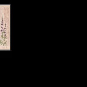 Anita Mathews is the Covellite's September featured artist