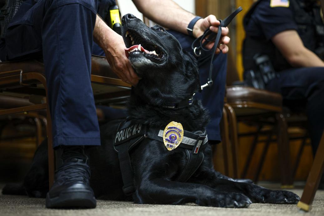 Blue retires as Butte police dog