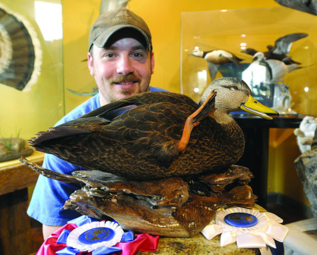 Missoula taxidermist’s snow goose wins Best in World honors