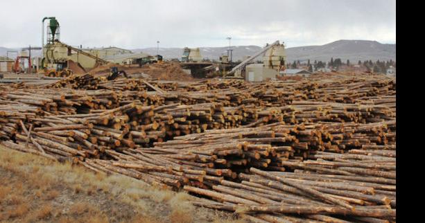 Lack of timber challenges area sawmill