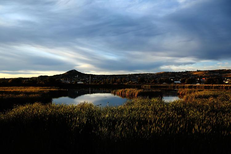 Plan would preserve 'hidden jewel' wetlands area in Butte