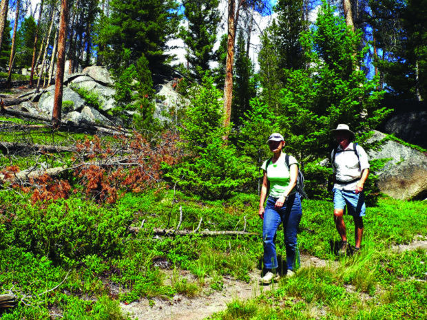 Humbug Spires: Looming landscape offers different wilderness experience