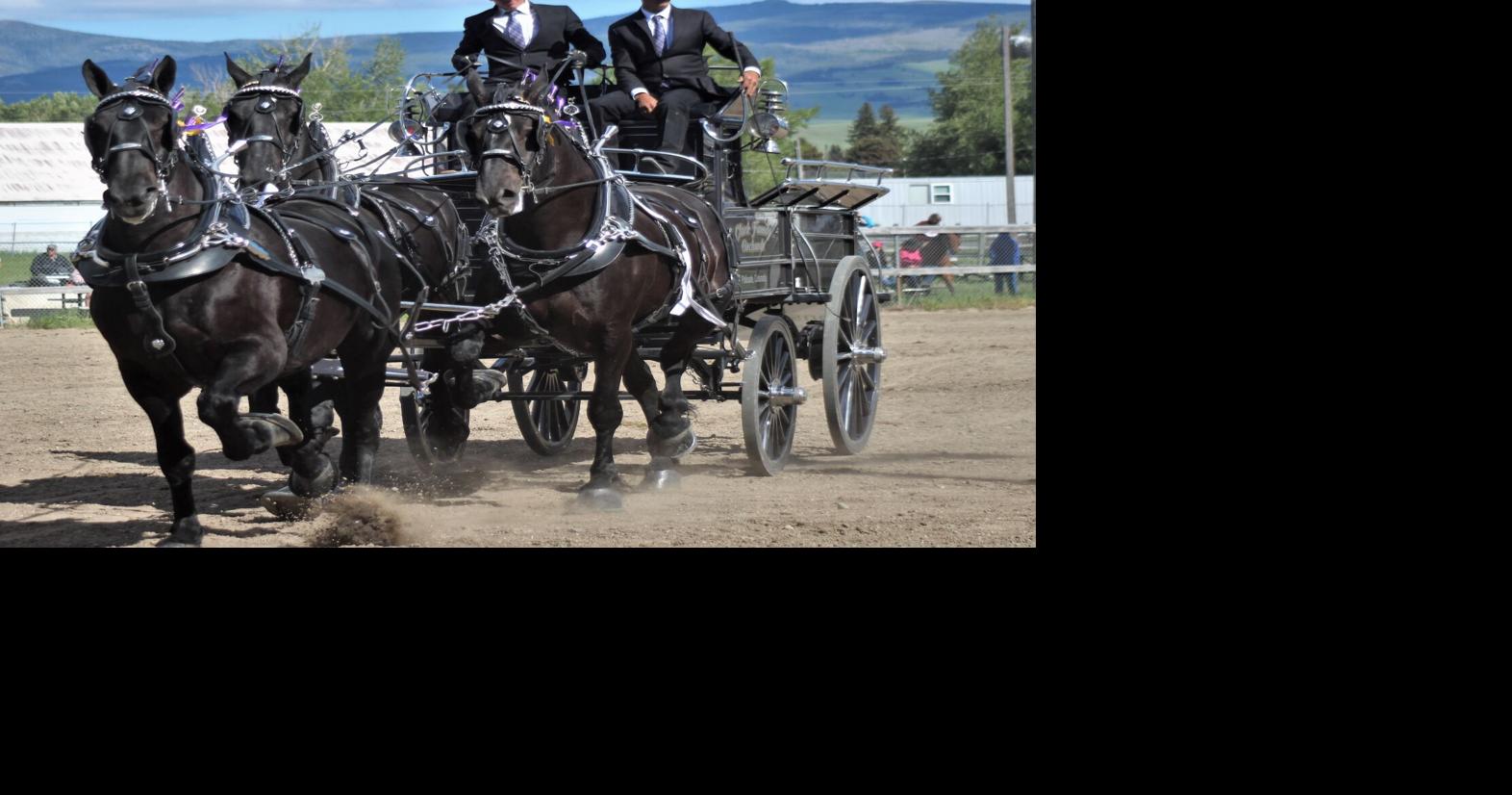 Big Sky Draft Horse Expo in Deer Lodge starts Friday