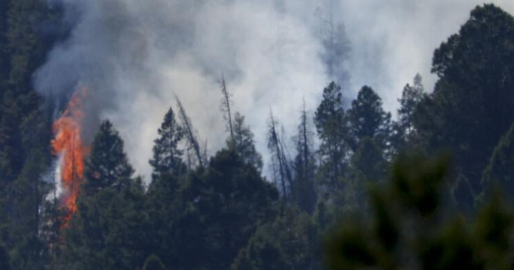 Grouse Fire near Wise River grows to more than 2,000 acres