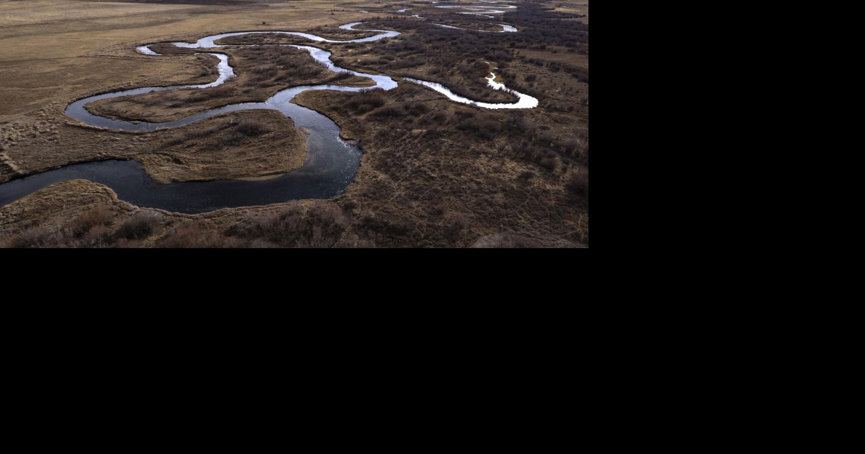 Cause of upper Clark Fork's fish decline remains a riddle