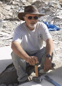 Ancient Wyoming fossil fills in gaps on North American birds