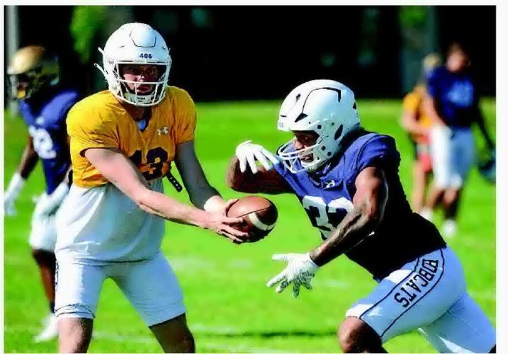 Breaking down Cats' running backs