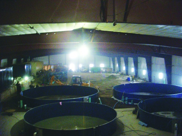 Hutterite colonies dive into salmon farming