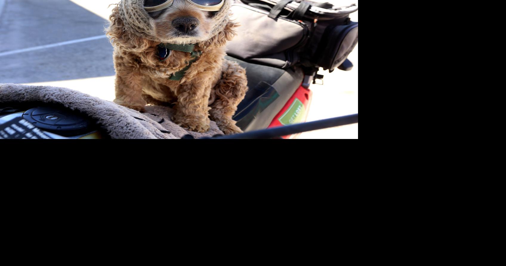 Travels with Barney: Motorcycle duo rolls up 64,000 miles of back-road ...