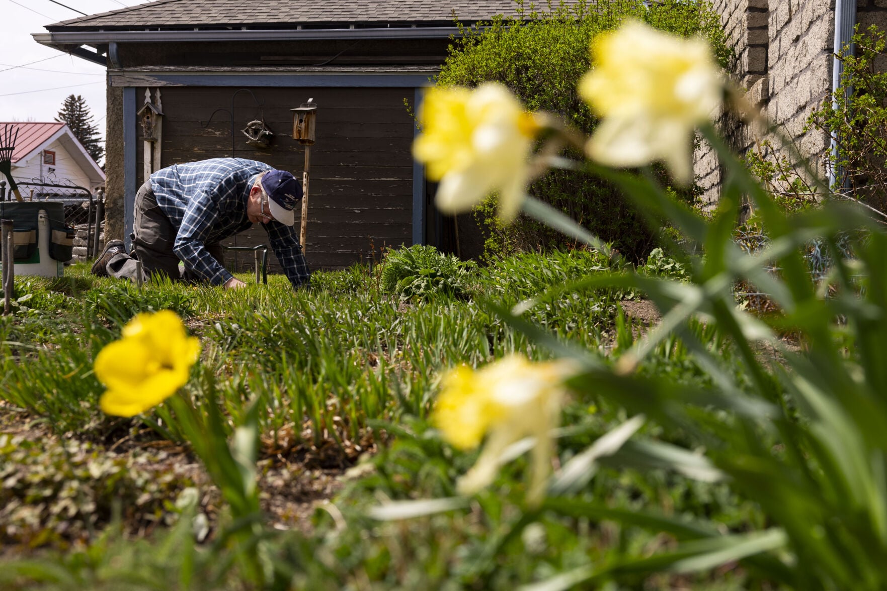 What did we capture in April? See top photos from the Montana Standard ...