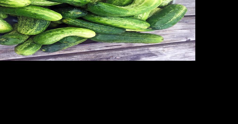 Escape the heat with this cucumber concoction