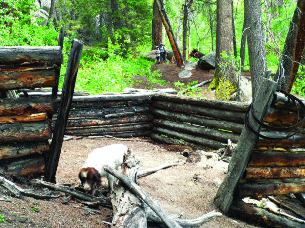 Humbug Spires: Looming landscape offers different wilderness experience
