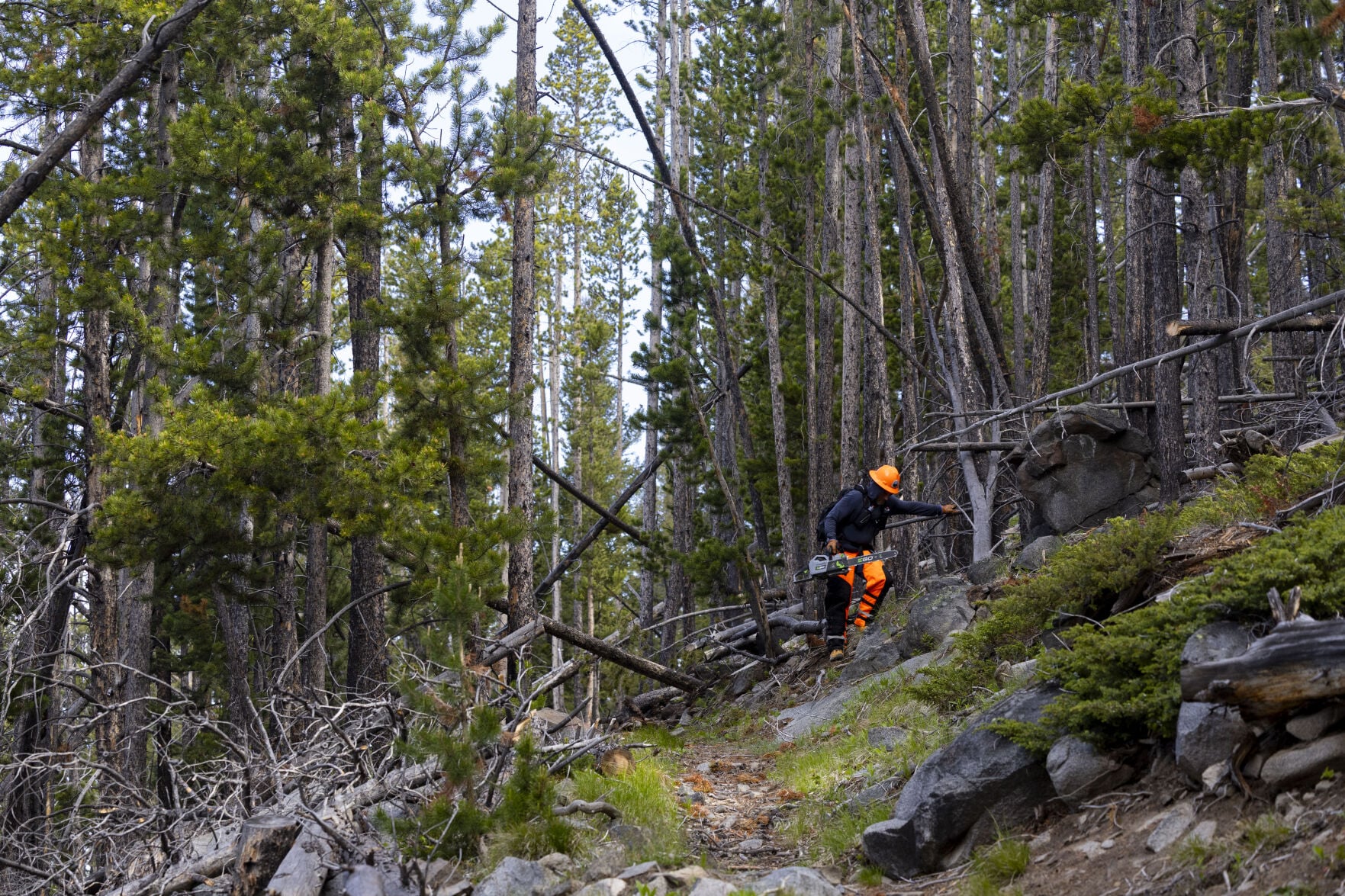 Butte residents work annual CDT trail maintenance event