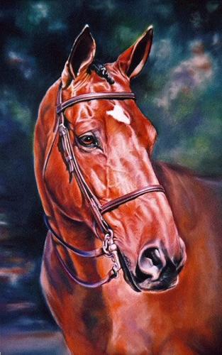 Main Stope to feature Jodi Gear’s work