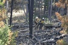 Sawlog fire near Wise River now listed at 1,834 acres