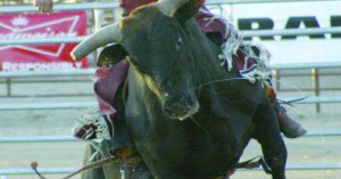 Bull-A-Rama ready to kick off Thursday; 30 bulls set for 30 riders ...