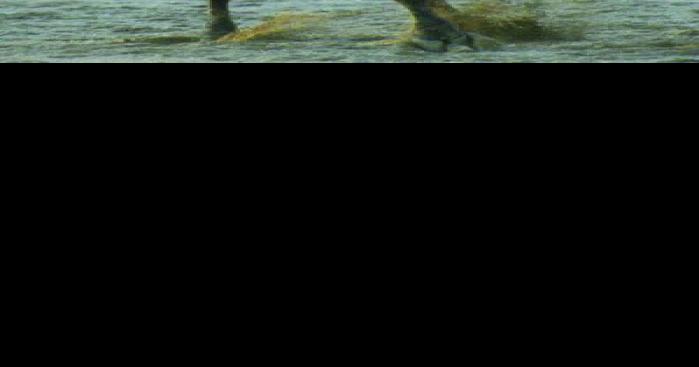 Bull-A-Rama ready to kick off Thursday; 30 bulls set for 30 riders ...