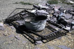 Night of the Grizzlies: Two fatal grizzly attacks in GNP