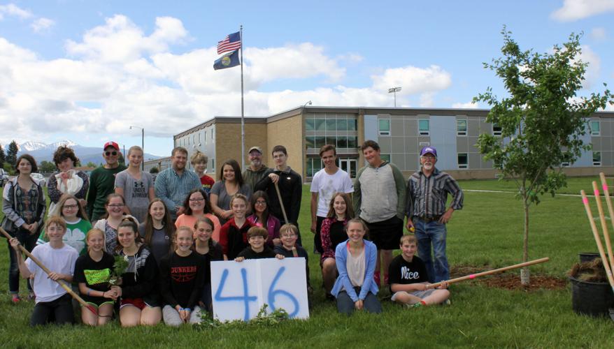 New trees dot the 46th parallel through Butte