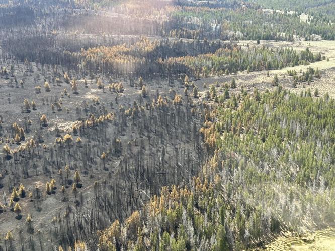 Sawlog Fire now at 90% containment.