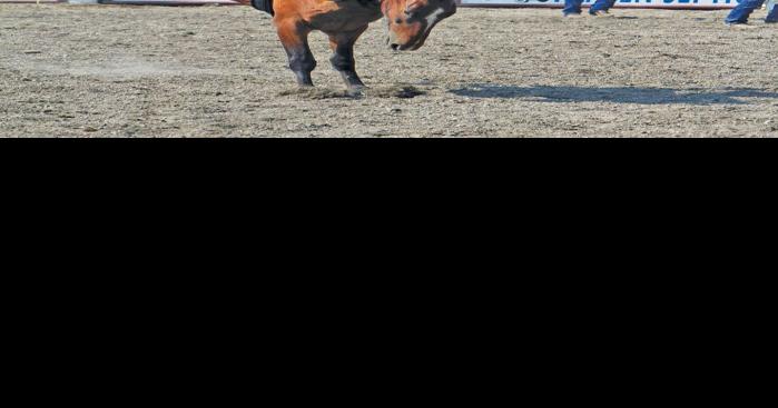 Dillon Jaycee Rodeo