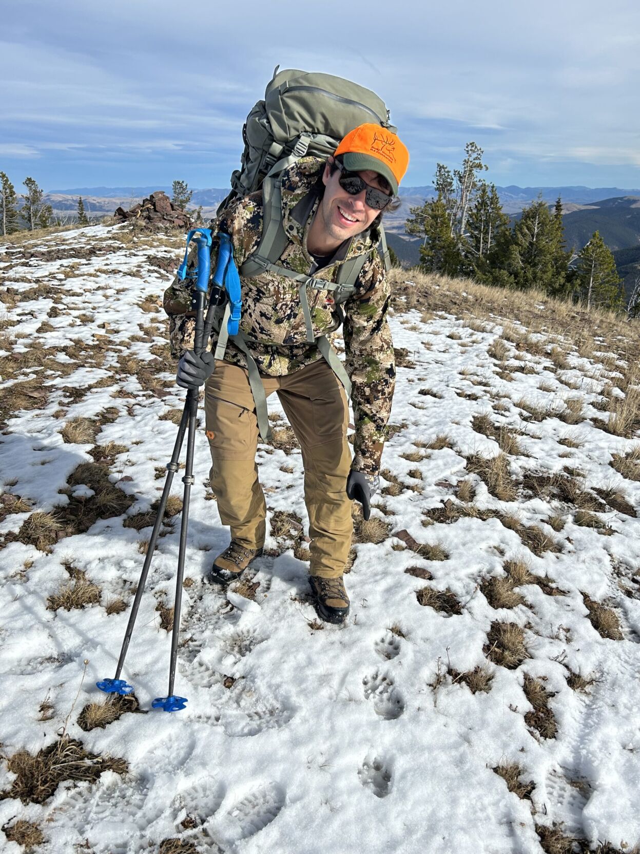 Lawsuit targets wildlife agency for wolverine inaction