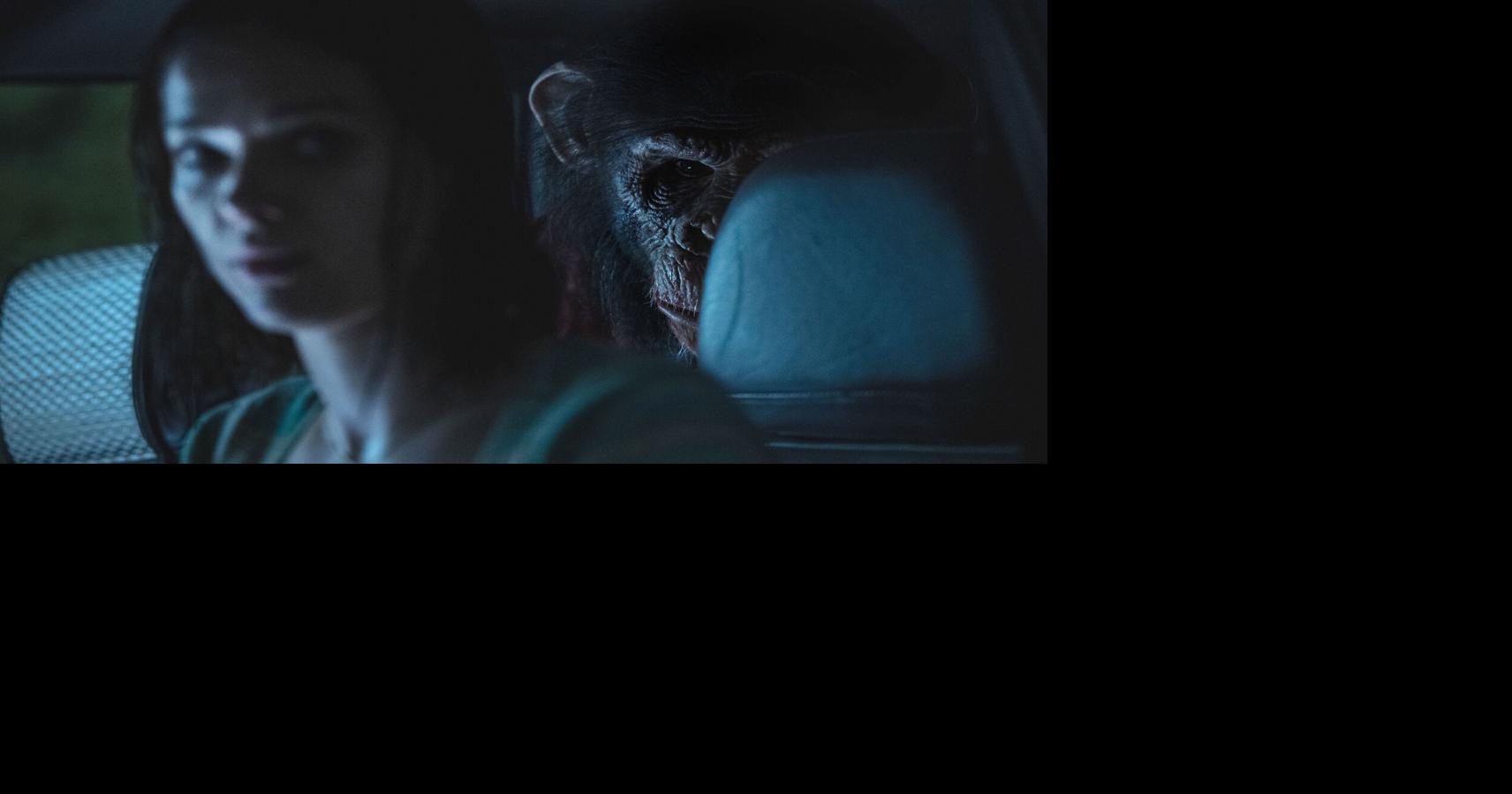 Review: ‘Primate’ monkeys around too much