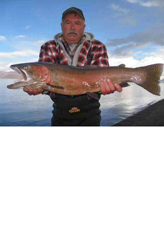 Loren Edward Fogarty