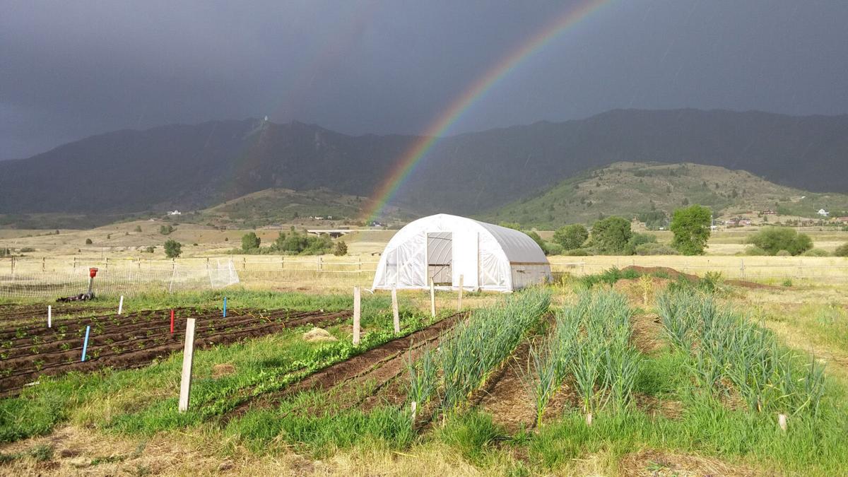 NCAT offers free sustainable growing workshops