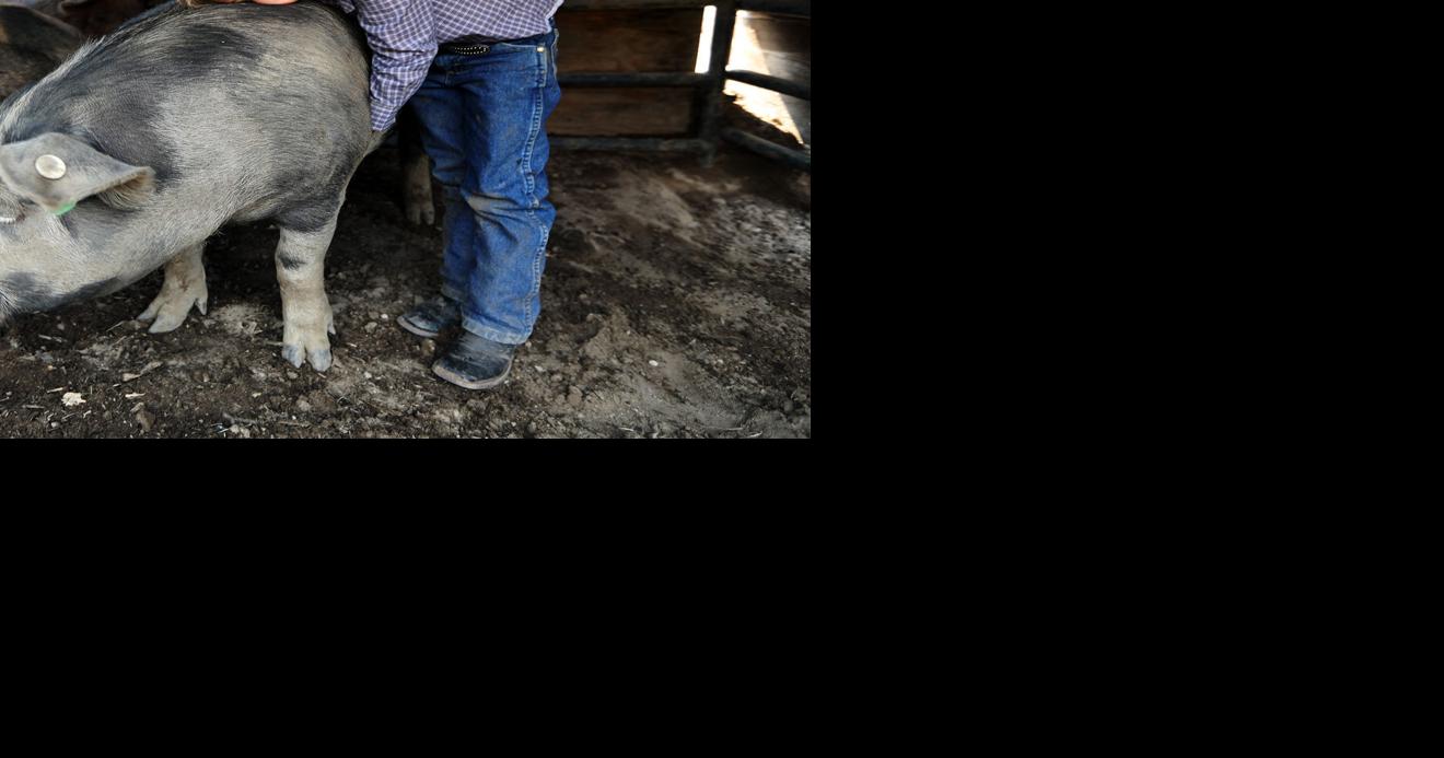B-SB County Fair moving to Original Mineyard