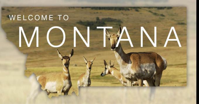 Welcome to Montana Signs