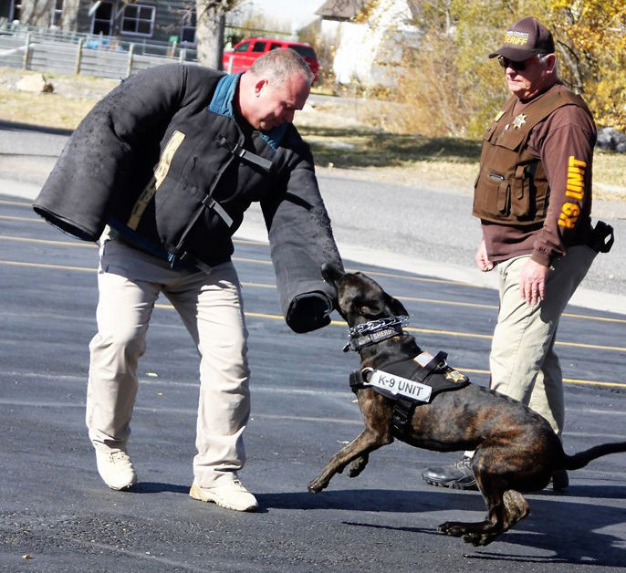 Police dog demo highlights 4-H Fun Day