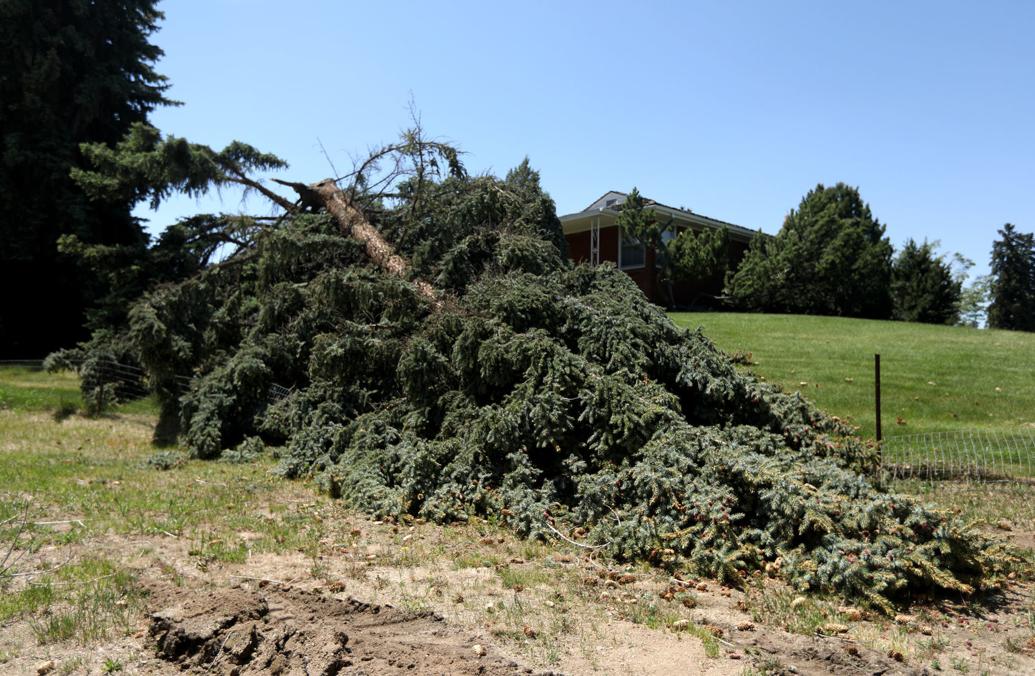 A look back at past damaging wind events in Butte