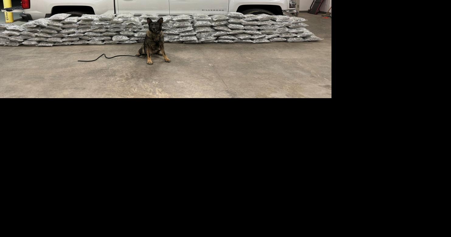 Photos: Montana Highway Patrol seizes fentanyl, meth, weed and cash ...