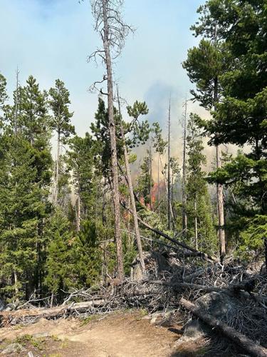 Wildfire near Butte grows