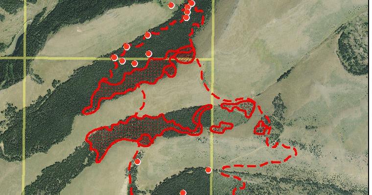 Crews go to 24/7 operations with Blue Lake Fire