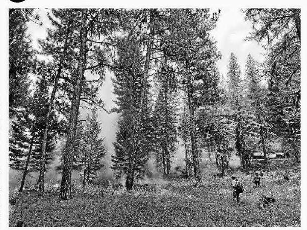 Forests get $2M for fuel breaks