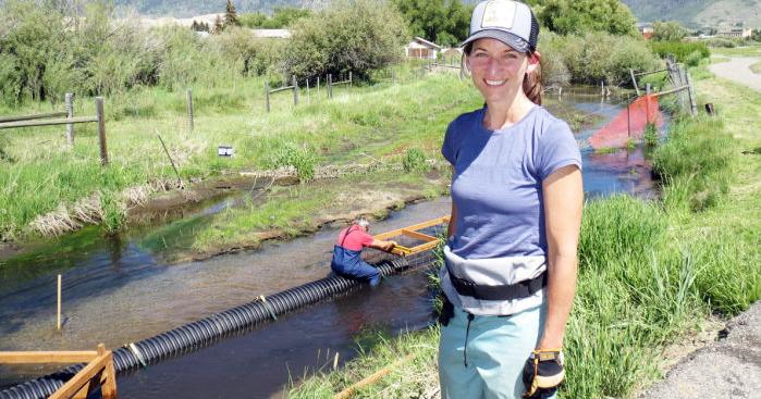 Beaver Deceivers: Devices aim to mitigate dams along Blacktail Creek